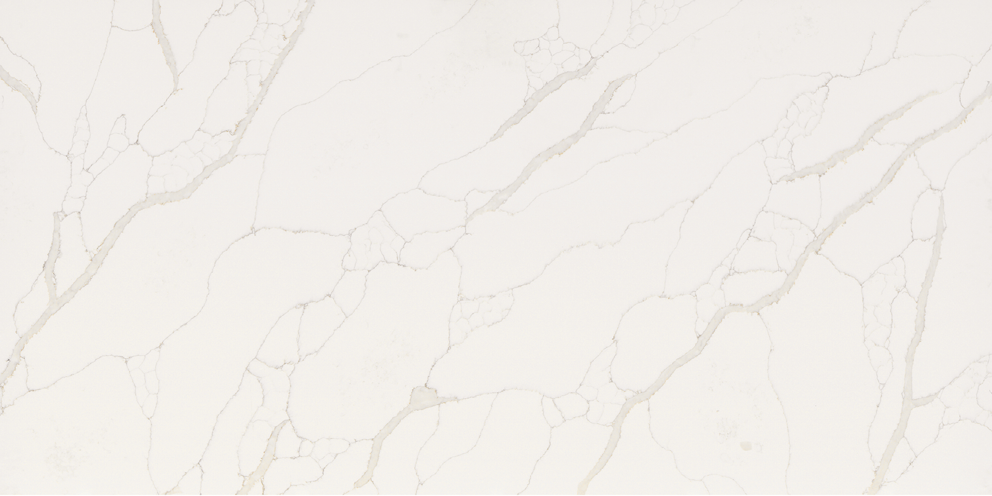 ENVI™ | Quartz Counters | Kitchen & Bathroom Countertops | Slabs